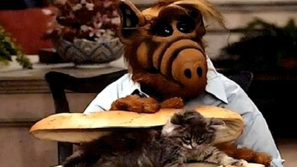 ALF: La serie que conquistó corazones y el destino de sus protagonistas